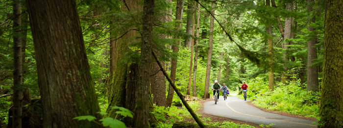 6 Perfect Spots on Whistler's Valley Trail - The Whistler Insider