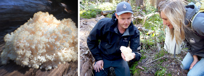 Ground Scores: Foraging in the Whistler Backcountry