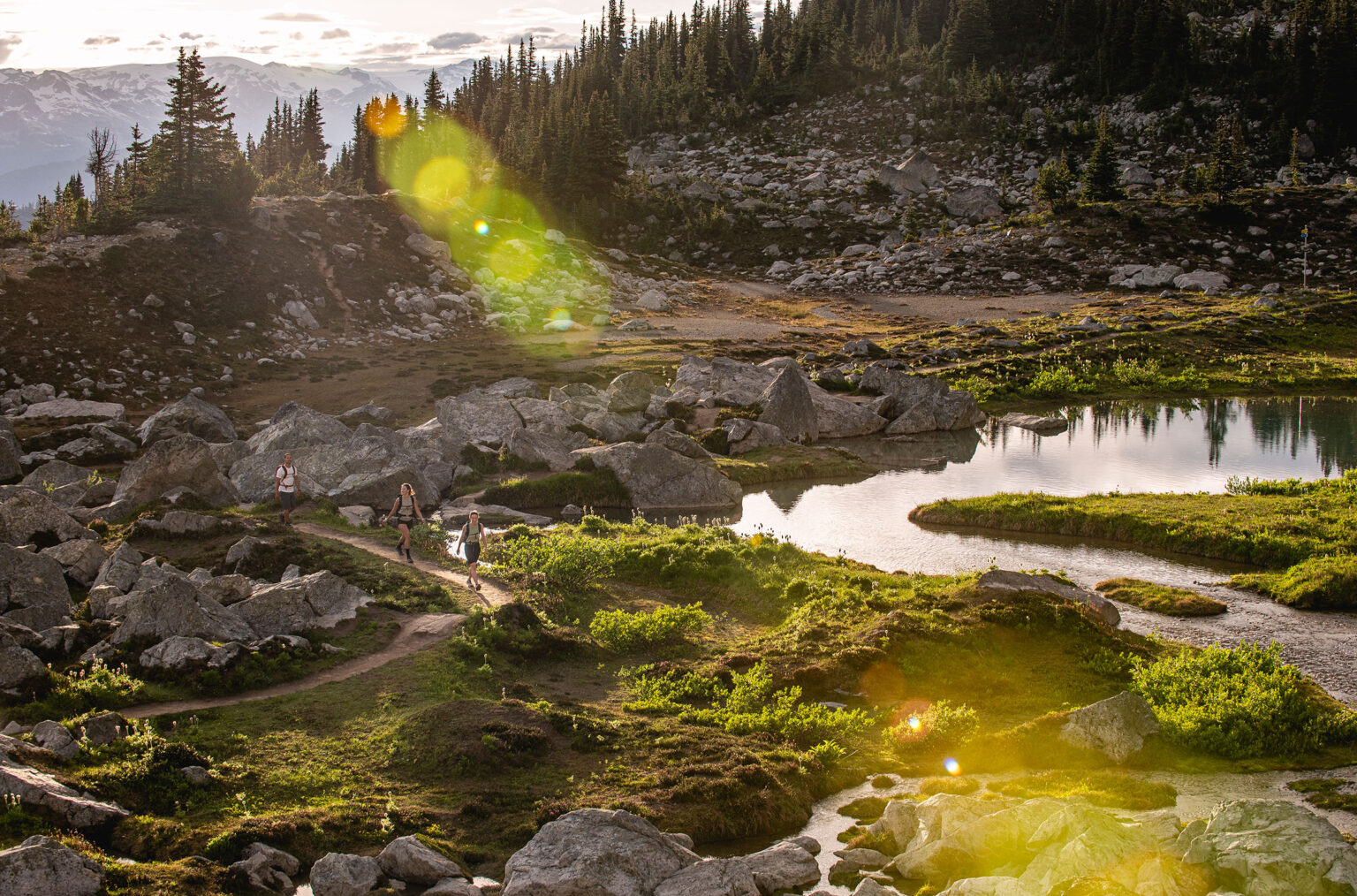 Alpine Hiking Trails on Whistler and Blackcomb Mountains