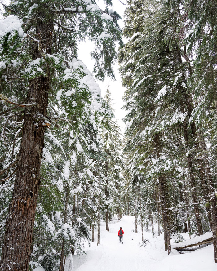A Day in Whistler Winter with @TiffPenguin - The Whistler Insider