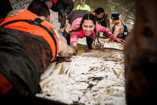7 Tips for A Successful Tough Mudder Whistler - The Whistler Insider