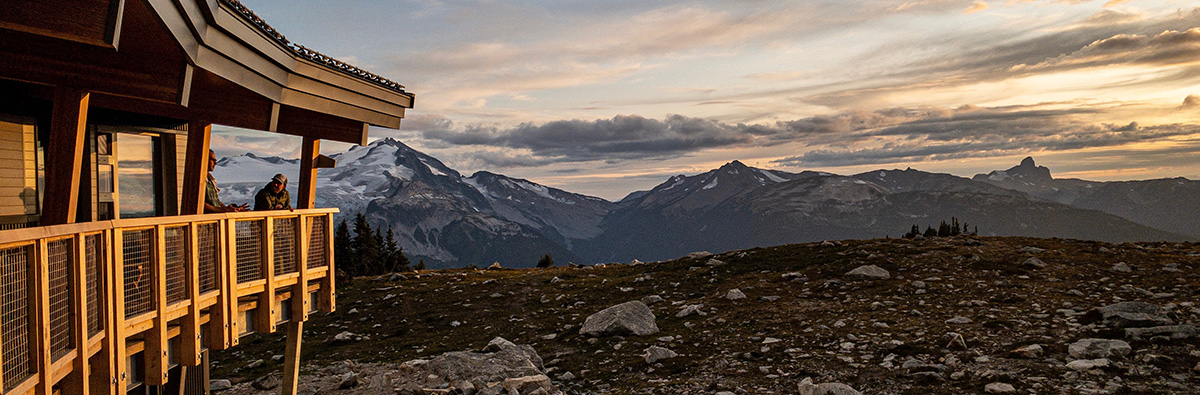 The Whistler Insider