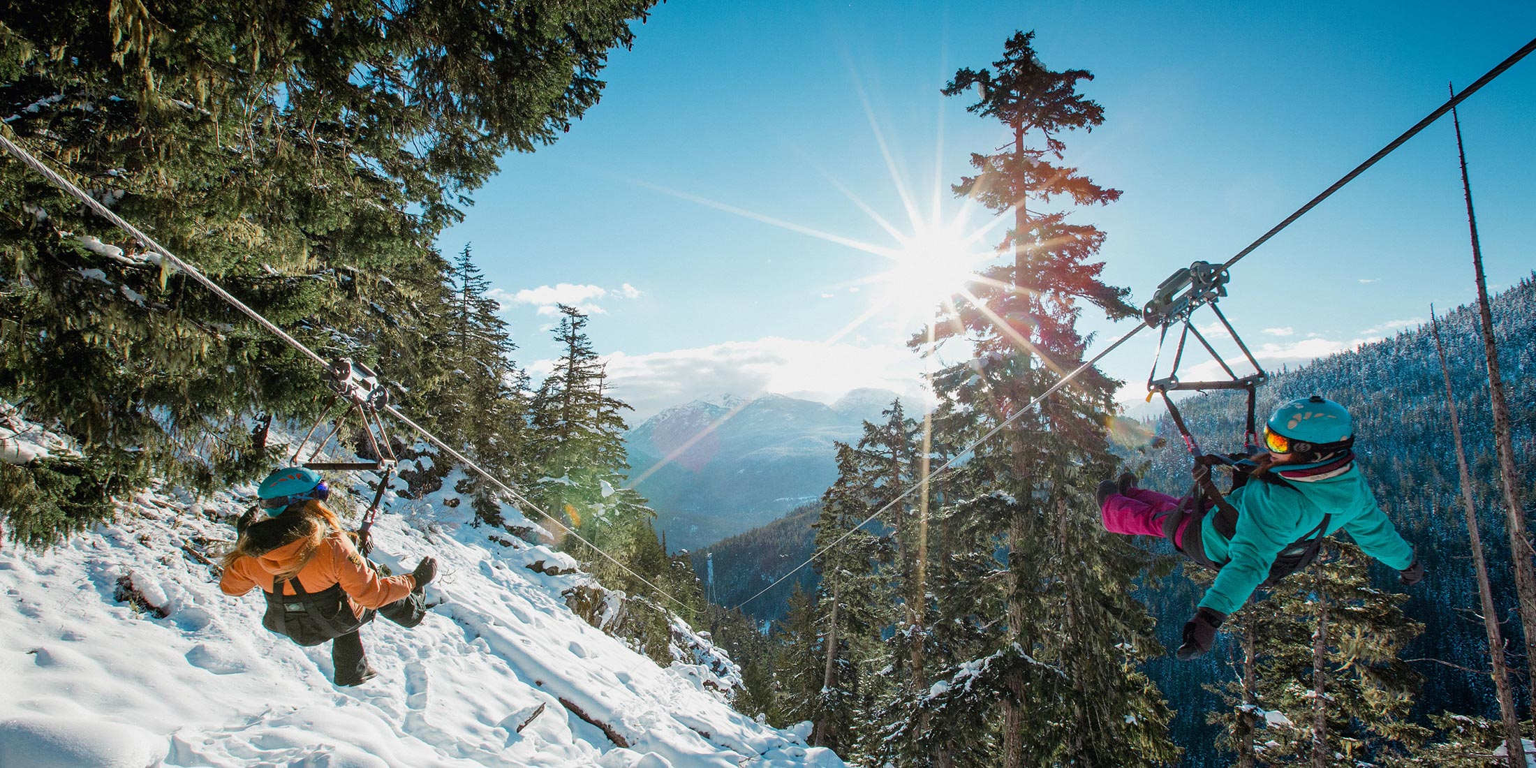 Whistler Zipline Tours | Superfly & Ziptrek Adventures | Tourism Whistler