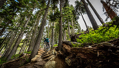 Whistler Mountain Bike Park | Tourism Whistler