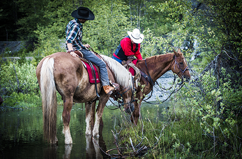 Horseback Riding - Whistler BC | Tourism Whistler