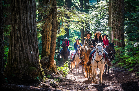 Horseback Riding - Whistler BC | Tourism Whistler